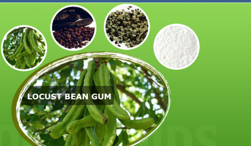 Find Out the Multiple Properties of Locust Bean Gum Powder and How They ...