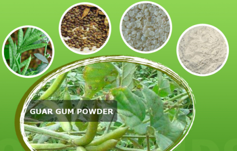 Plant Based Natural Gums - Altrafine