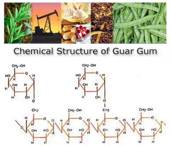 Chemical Properties of Guar Gum that supports Biological Applications