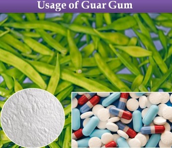 Uses of Guar Gum Powder in Pharmaceutical Formulations
