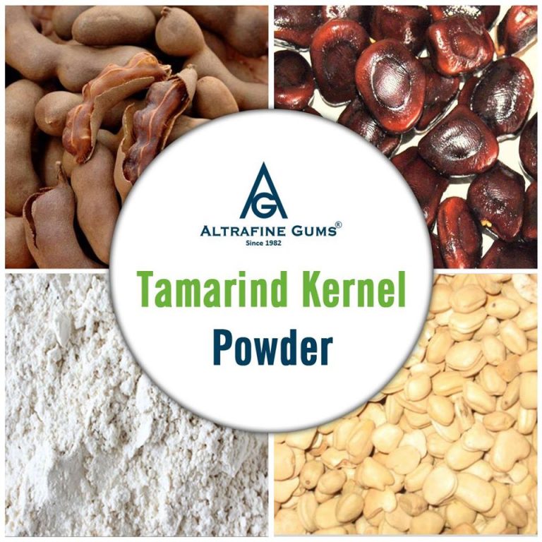 Tamarind Kernel Powder | Altrafine Blog
